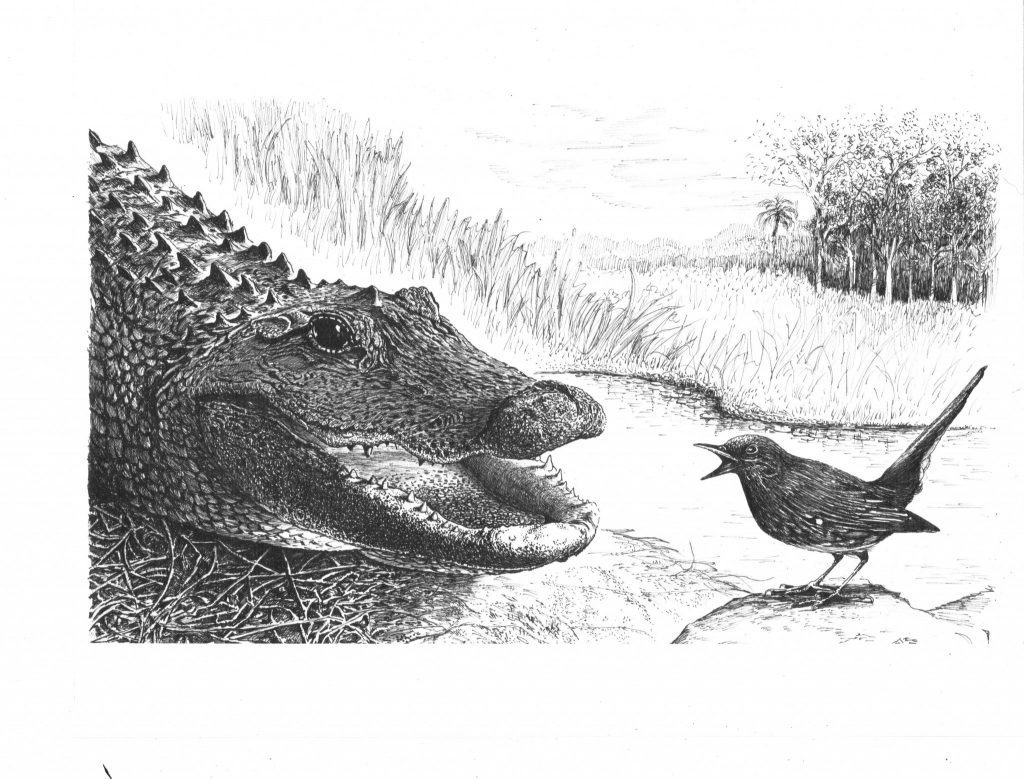 gator-bird-copy - Paint the Town Citrus